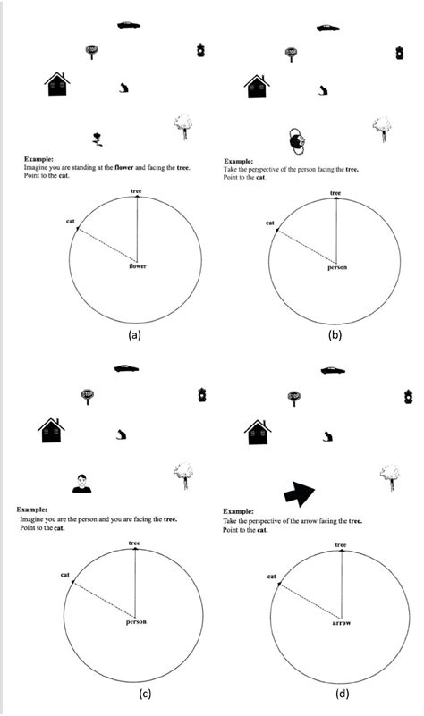 Sex Differences In Social And Spatial Perspective Taking A Replication