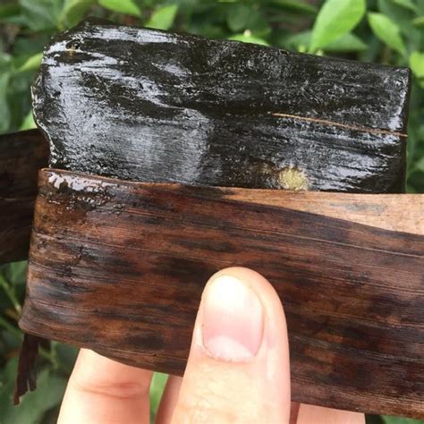 B Nh Gai B Nh G C Ninh Giang H I D Ng Shopee Vi T Nam