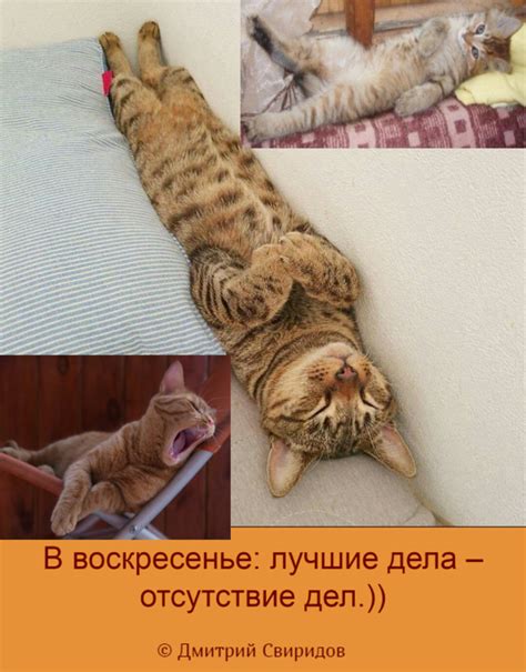 Искусство отдыхать | Пикабу