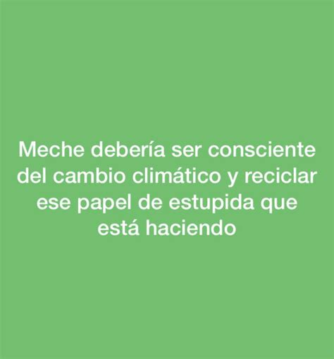 Meche S Consciente R Peru