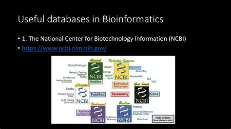 Introduction To Bioinformaticspptx Free Download