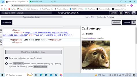 html step 30 i have a doubt my error is your figcaption element