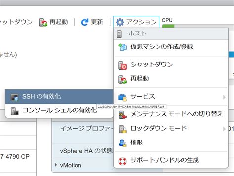 VMware ESXiゲストOSに直接ディスクを扱わせるRaw Device Mappingの設定RDM PC好きの備忘録