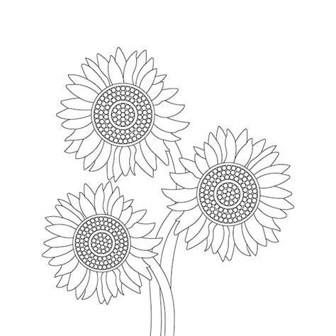 해바라기 색칠 페이지 라인 아트 꽃 스케치 벡터 디자인 및 일러스트와 함께 프리미엄 벡터