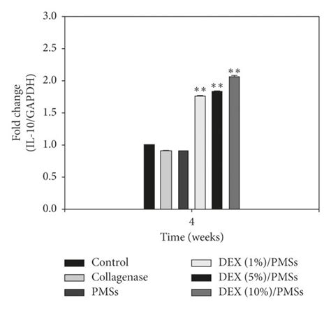 Relative Mrna Levels Of Proinflammatory Cytokines Including A Cox 2