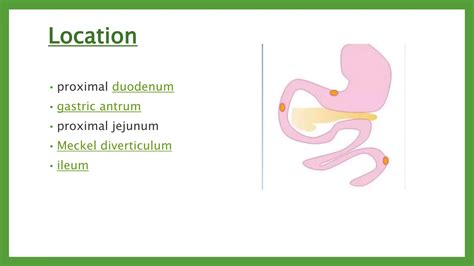 Pancreatic Anomaly Radiologypptx