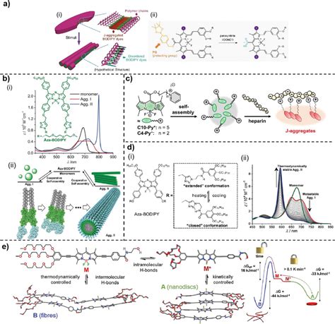 A I Bodipy Template‐induced Amphiphilic Polymers Form Download Scientific Diagram