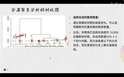 层次聚类的树状图如何看？序列分析和回归分析如何结合？ 哔哩哔哩