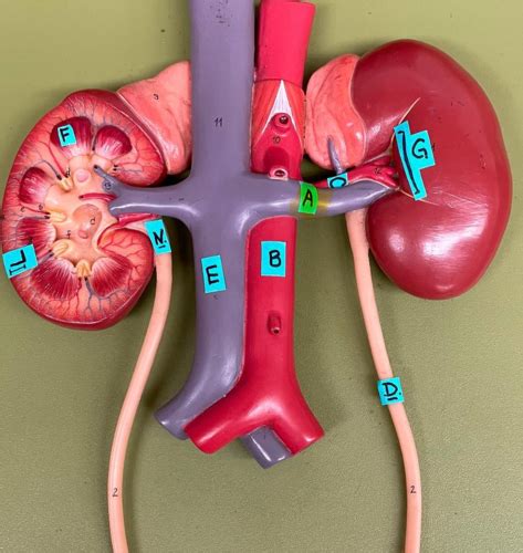 Quizlet Code Quizlet Code