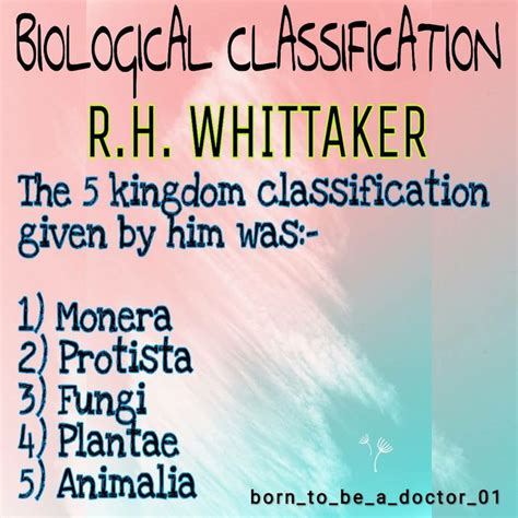 Rh Whittaker