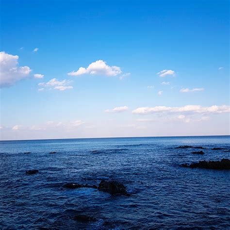 2025 Uefa 컨퍼런스리그 결승전 프리뷰 첼시 Vs 레알 베티스 유럽 무대의 새로운 역사