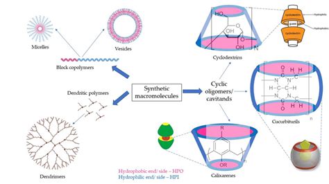 Sub Types Of Synthetic Macromolecule Based Supramolecular Systems And
