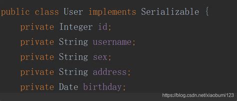 mybatis（7）参数传递和结果封装 mybatis封装结果 重写getter方法 csdn博客