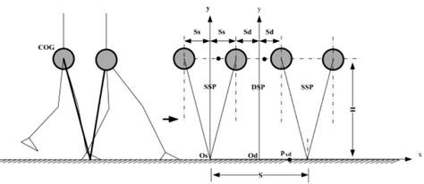 Simplified Modeling Of Biped Robot Based On Method 1 Here