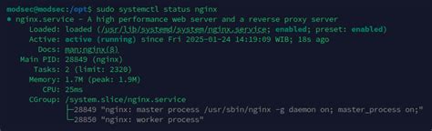 Cara Install Modsecurity Di Nginx Owasp Crs Di Ubuntu Server Awanservers
