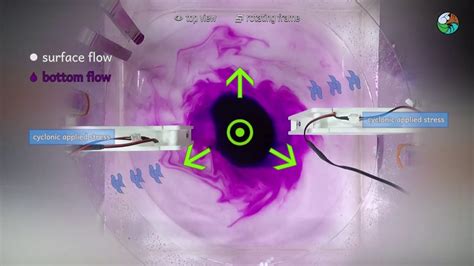 What Function Do The Wind Driven Currents Play In The Transport