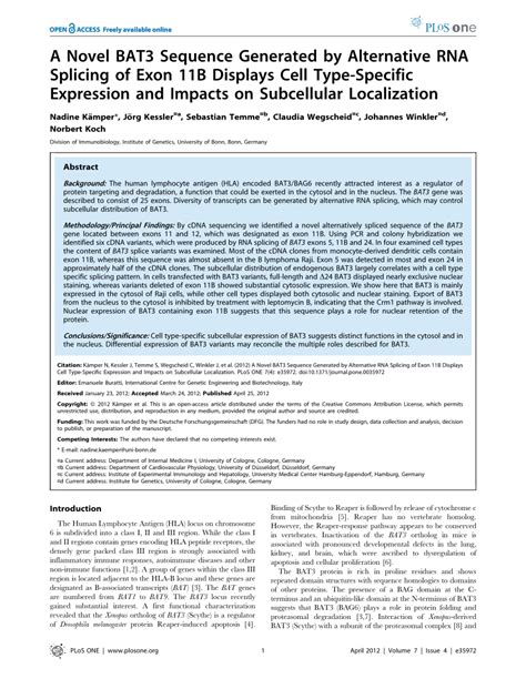 Pdf A Novel Bat3 Sequence Generated By Alternative Rna Splicing Of Exon 11b Displays Cell Type