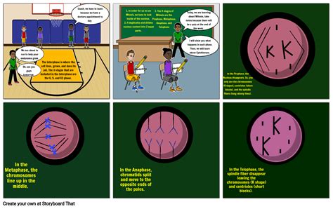 Cell Cycle 1 Storyboard By Danceisfunandlife