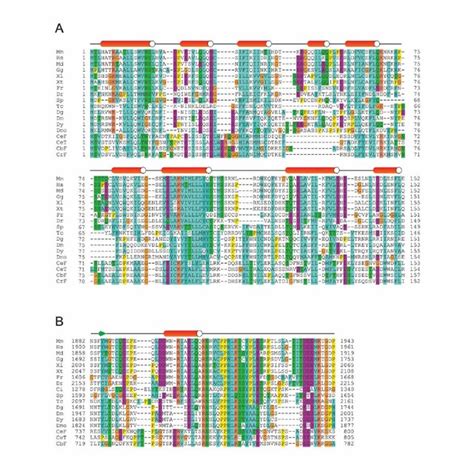 Figure S1 Multiple Sequence Alignment Of The Conserved N And