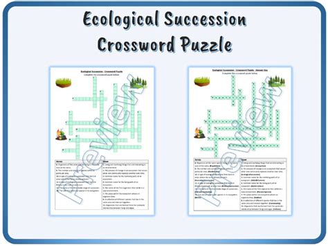 Ecological Succession Worksheet Pdf