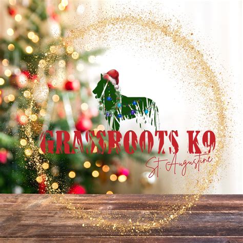 Grassroots K9 St Augustine Saint Augustine Fl