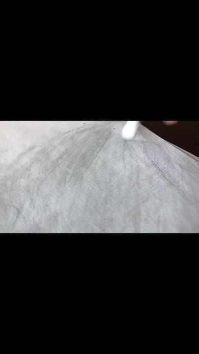 Cat Inspired By Quantastic Short Drawing Coloring Animal Cute