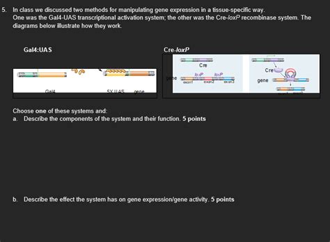 Solved In Class We Discussed Two Methods For Manipulating