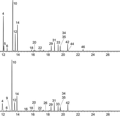 A Gcms Total Ion Chromatogram And B Py Gcms Total Ion