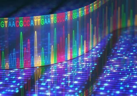 Qpcr Microarrays Or Rna Sequencing What To Choose