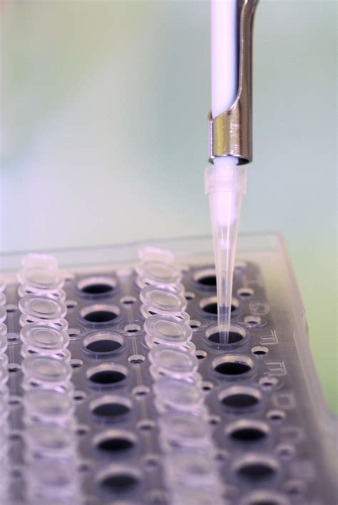 List Of National Reference Laboratories Ppr Eurl Ppr