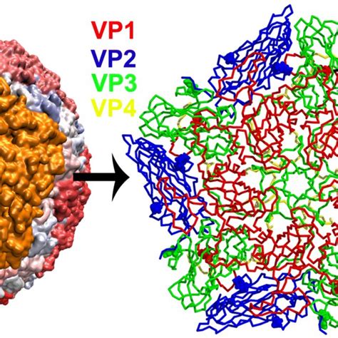 Qifeng Bai Professor Lanzhou University Lanzhou Lzu School Of Basic Medical Sciences