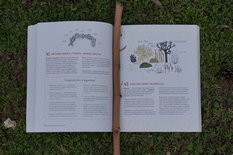 Книга: Может ли жираф облизать свои уши? - Матильда Мастерс. Купить ...