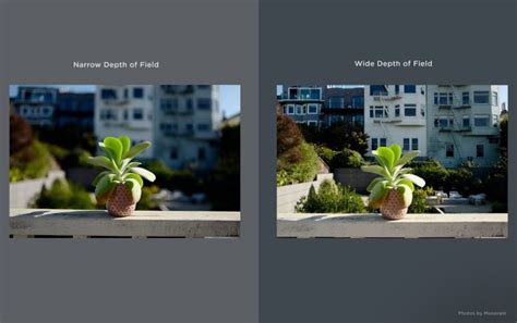 Depth Of Field Examples Depth Of Field Explained Using Aperture And