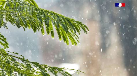 Atishay Ramdonee Posted On Linkedin