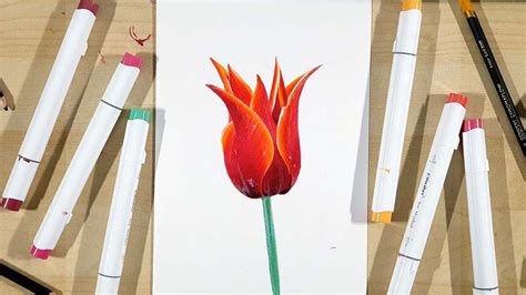 How To Draw A Tulip Easy Step By Step Guide