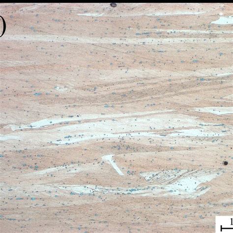 The Microstructure Of A C E Cu Cr And B D F Cu Cr Mg Alloys Download Scientific