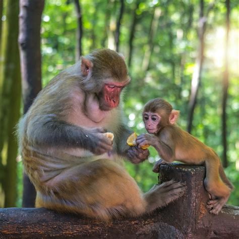 1 structure function and information processing unit us