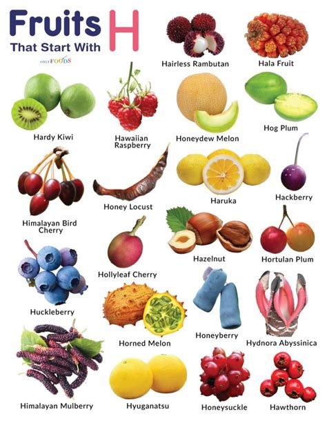 List Of Fruits That Start With H With Pictures