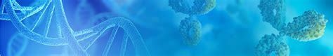 Genscript On Linkedin Genscripts 2025 Jpm Global Forum Concludes