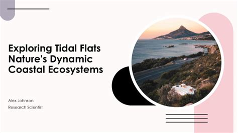 Exploring Tidal Flats Natures Dynamic Coastal Ecosystems Ppt Slides St Ai Ppt Presentation