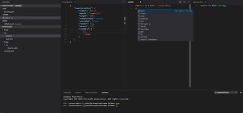 Typescript Write Definition For Specific File Stack Overflow