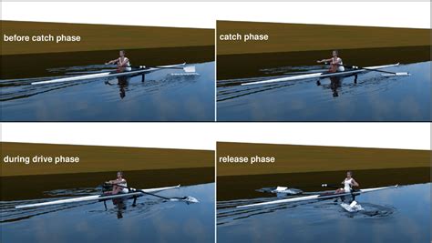 Realistic Rendering Of The Co Simulation Spring Isis Cfd Download Scientific Diagram