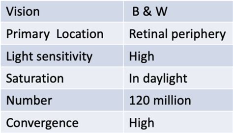 physio lecture 9 sensory physiology flashcards quizlet