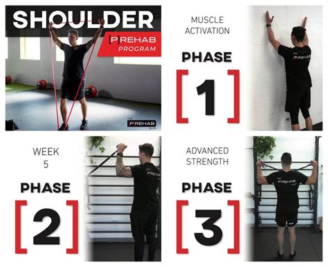 Scapular Isometric Exercises Torontolat