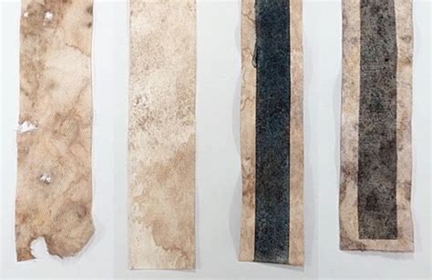 Scientists Develop Biodegradable Smart Textilea Big Leap Forward For