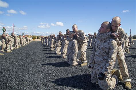 Mastering Marine Corps Martial Arts A Comprehensive Guide