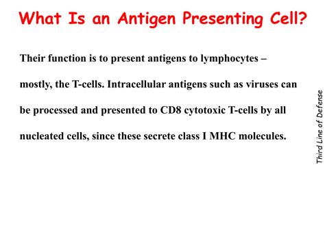 Immunology Basics Biology Lecture Powerpoint Vmcct Pptx