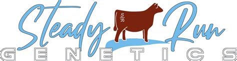 3723 Steady Run Genetics The Steady Run Production Sale Steady
