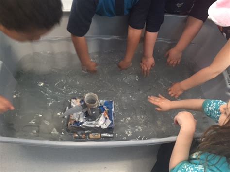 Flinking Half Floating And Sinking Discovery Academy Stem