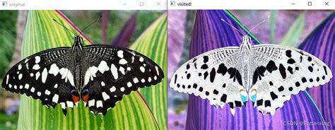 OpenCV Python学习 OpenCV 图像像素的读写操作 腾讯云开发者社区 腾讯云